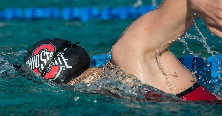 Ohio State Women's Swimming To Take On Toledo