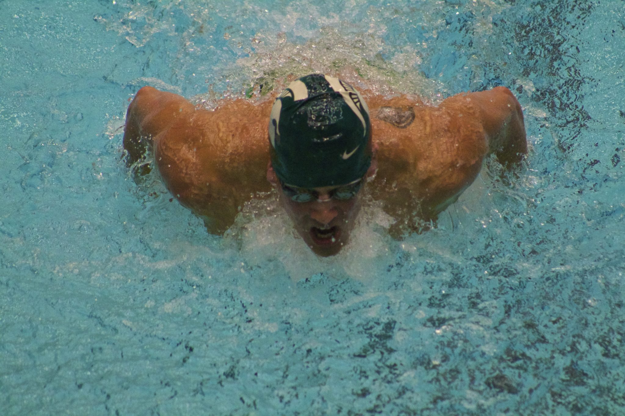 Michigan State University Men's Swimming and Diving - PHOTO VAULT