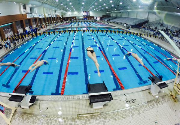 Vanderbilt Sweeps Last Meet of Regular Season Competition