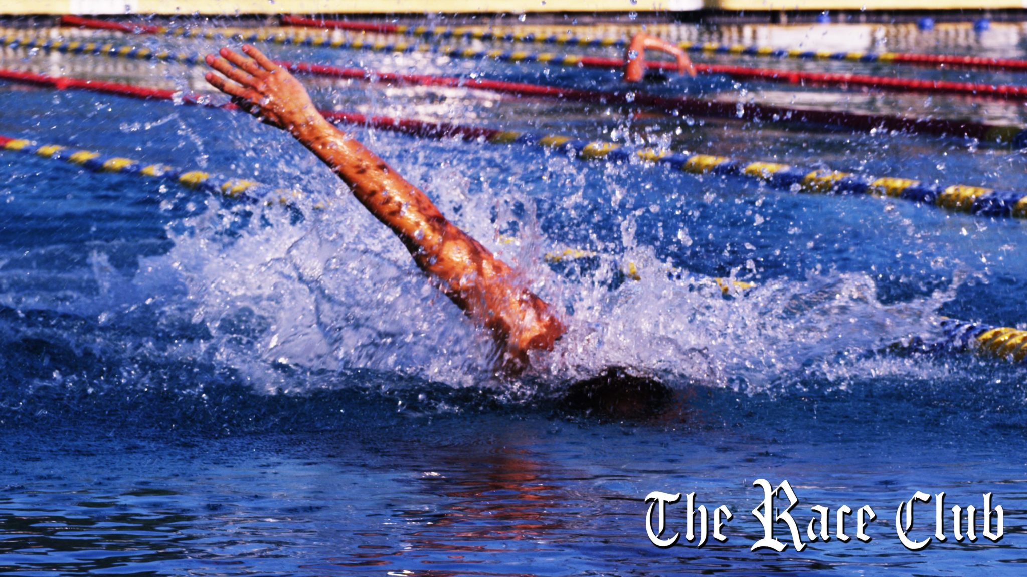 What grade is your freestyle recovery?