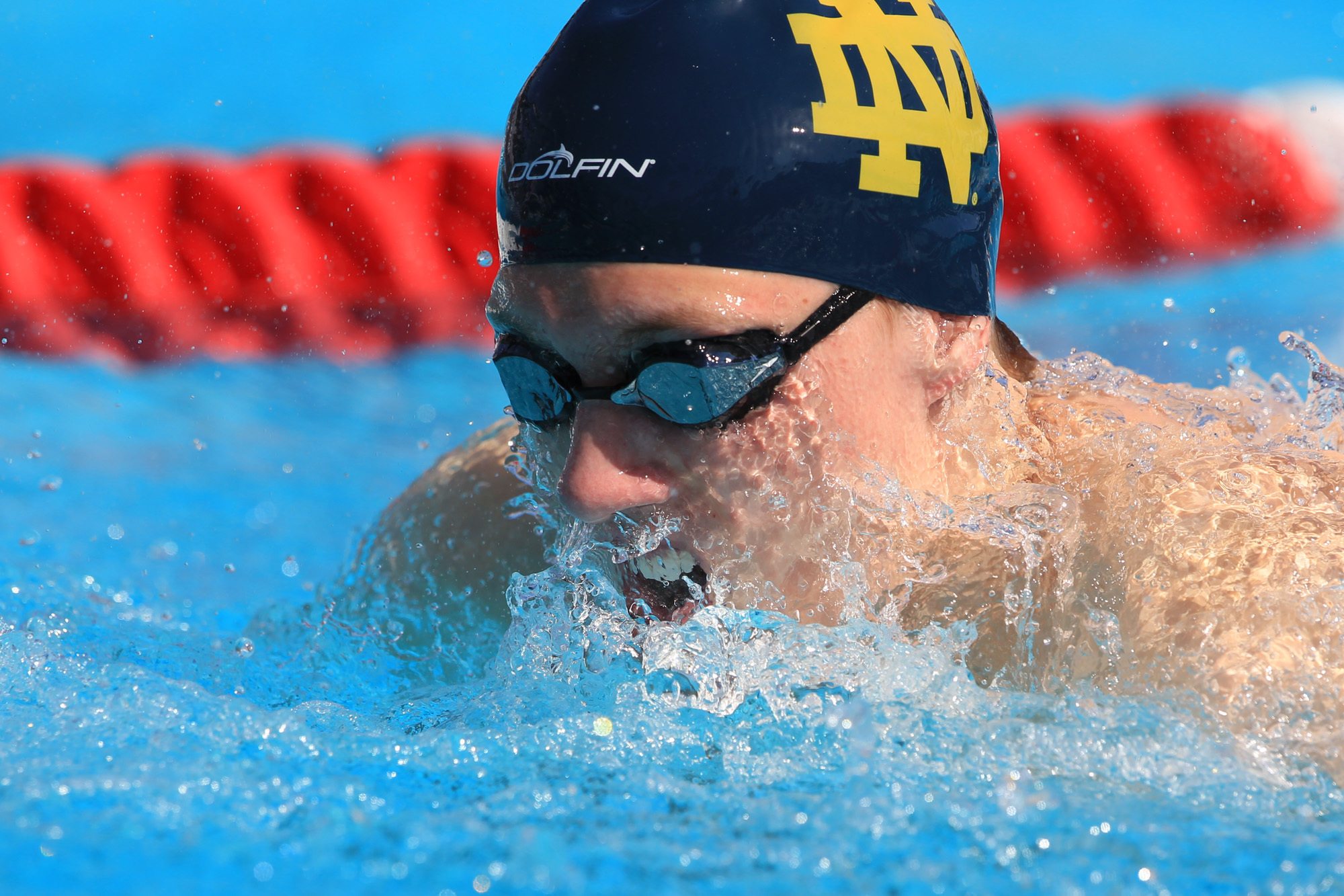 Notre Dame's Aaron Schultz Locks up NCAA Invite at Purdue Last Chance