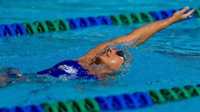 FGCU Swimming & Diving Prepares for Weekend Dual Against Stony Brook