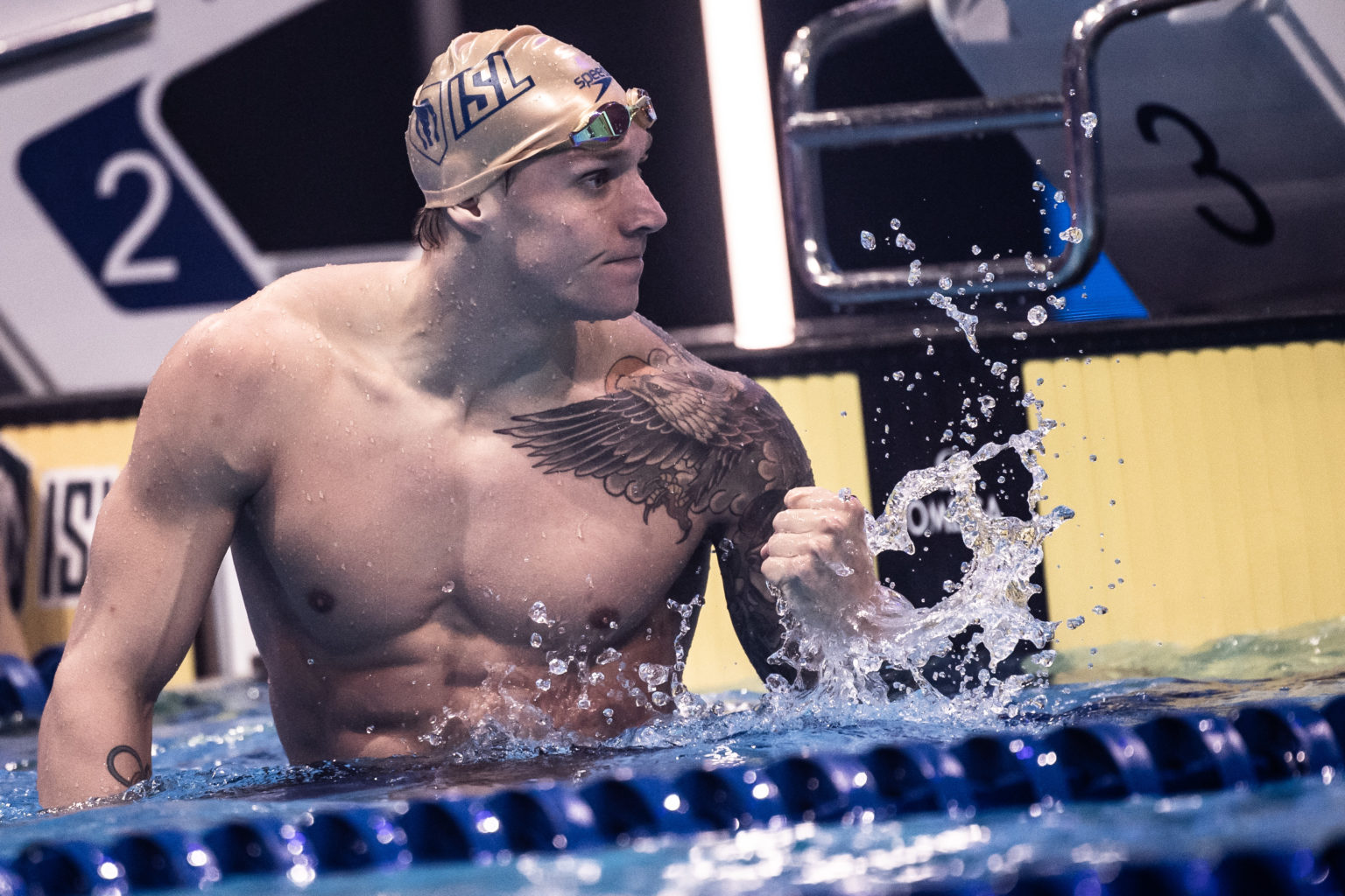 Caeleb Dressel Bio - SwimSwam