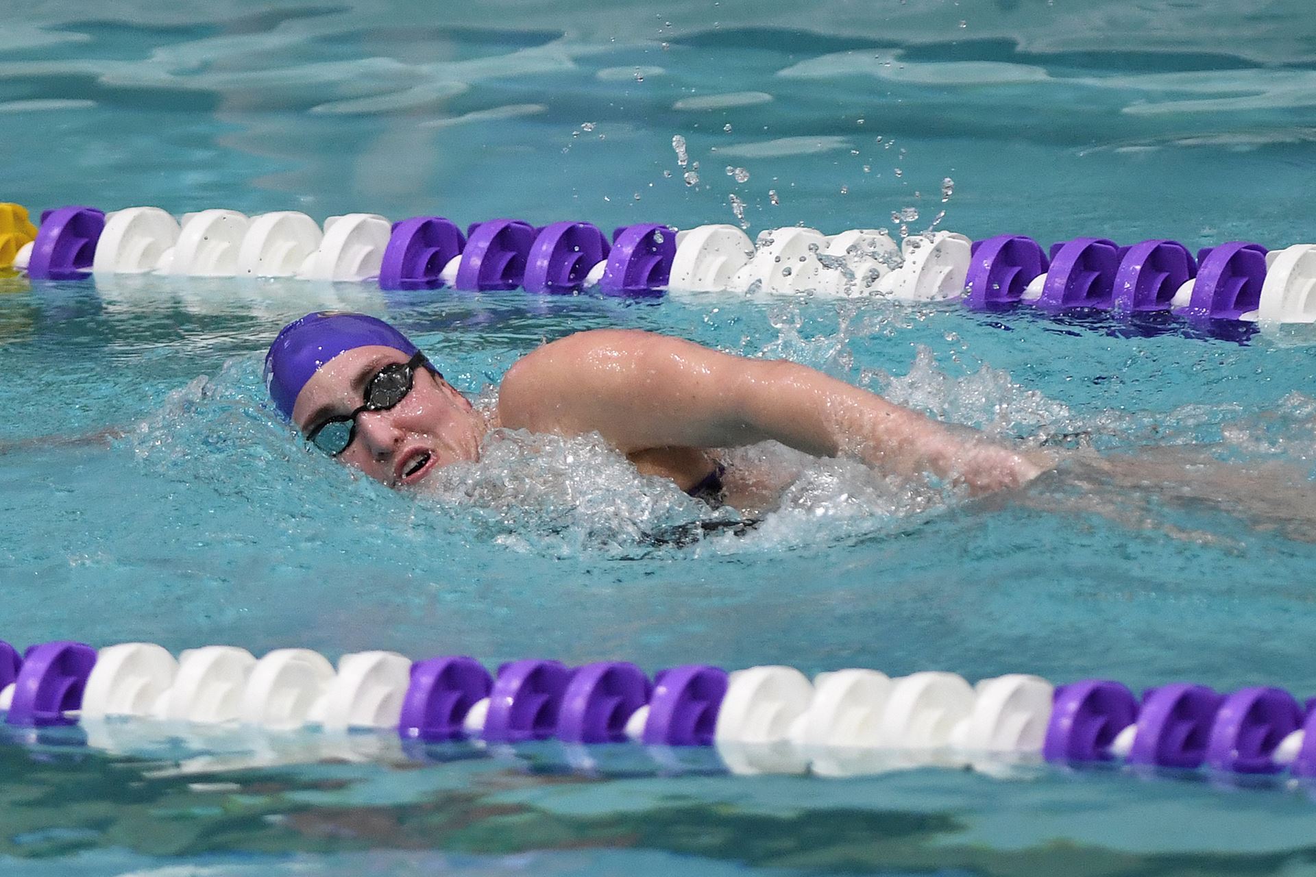 JMU Swim & Dive Dominates Richmond