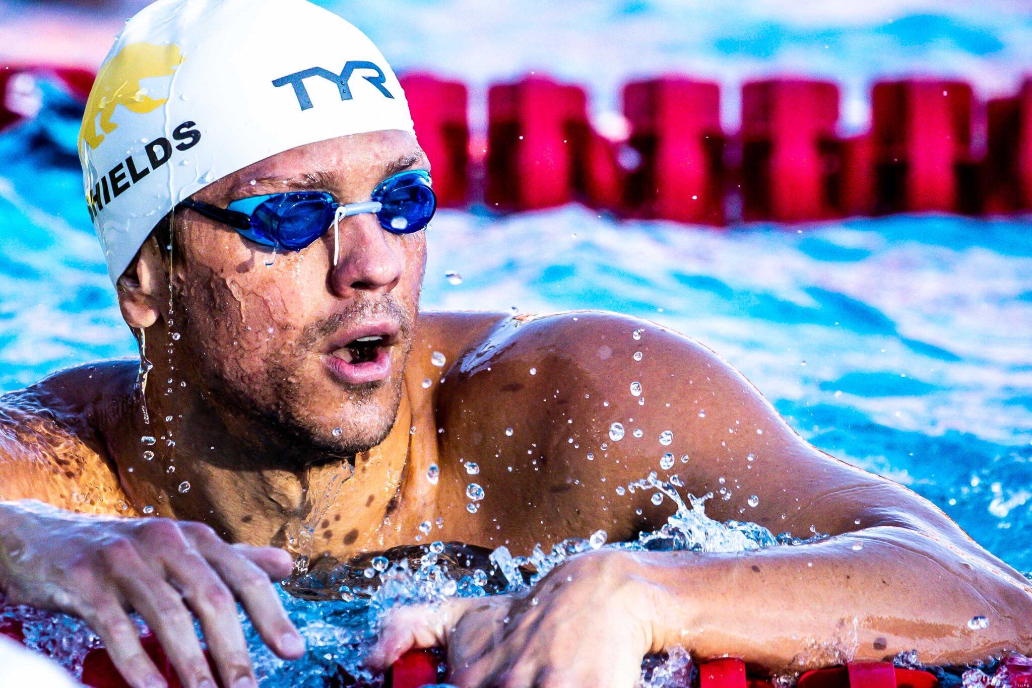 Tom Shields Breaks Down "Up and Down" Butterfly Showing in Atlanta